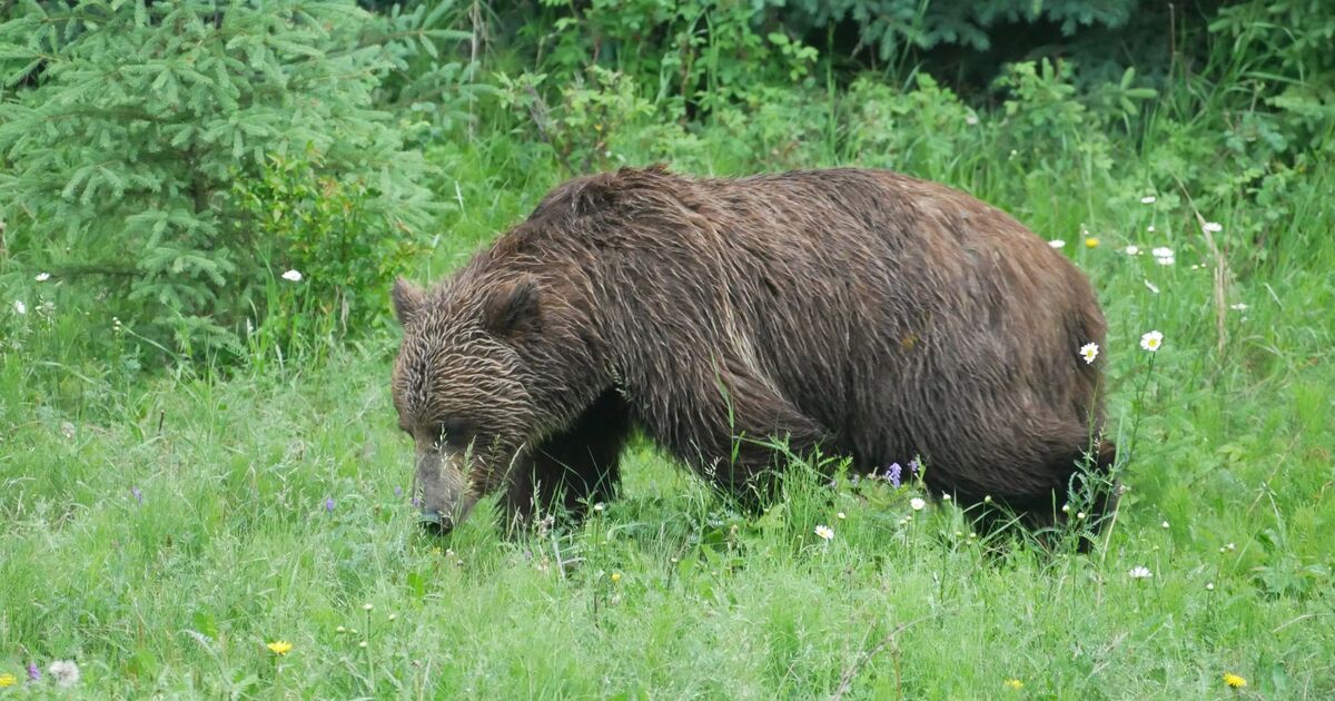 Tours in northern British Columbia and Yukon Territories, Canada.